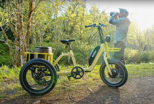 DISTRIBUTOR FOR ENVO ELECTRIC BIKES NORTH AMERICA – FelixBike